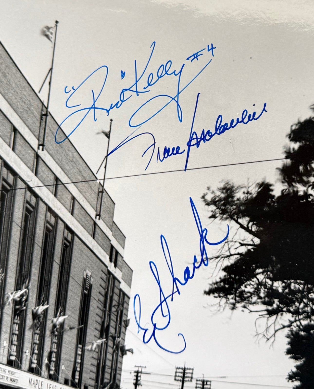 1940s Toronto Maple Leafs Multi-Signed x17 Photo JSA NHL Hockey Leaf G ...