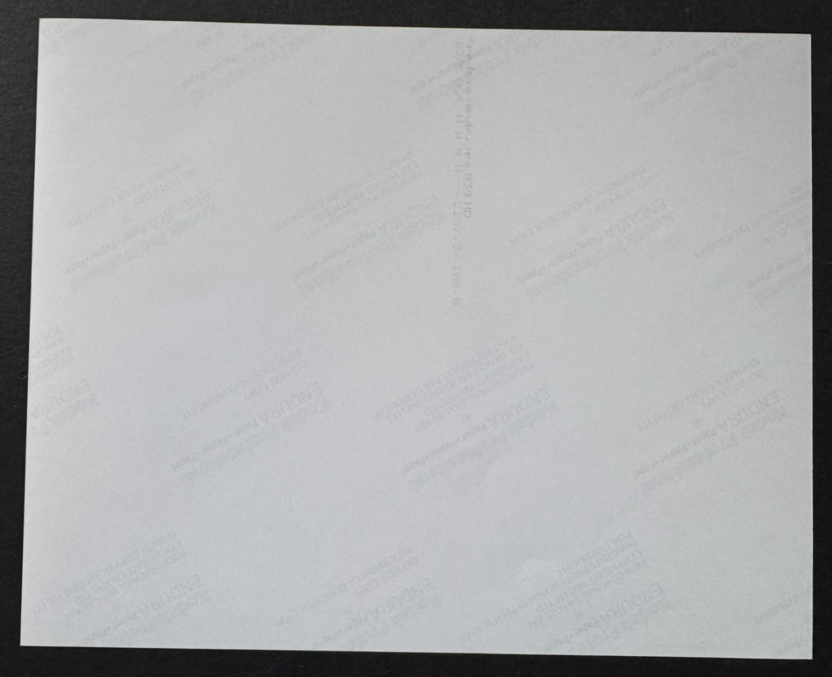 Andrew Shaw Chicago Black Hawks Signed Autographed Photo NHL Hockey St ...