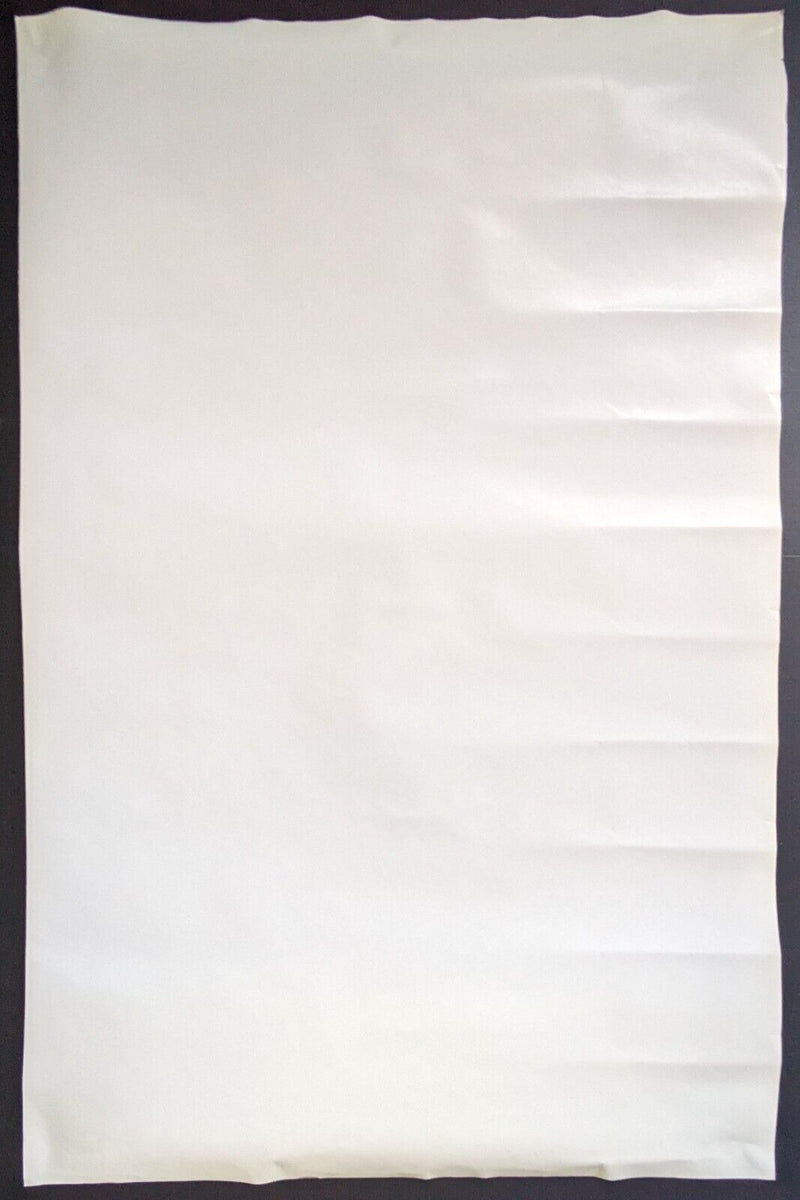 1996 The Tragically Hip Edenfest Music Festival Poster Mosport Park Th ...