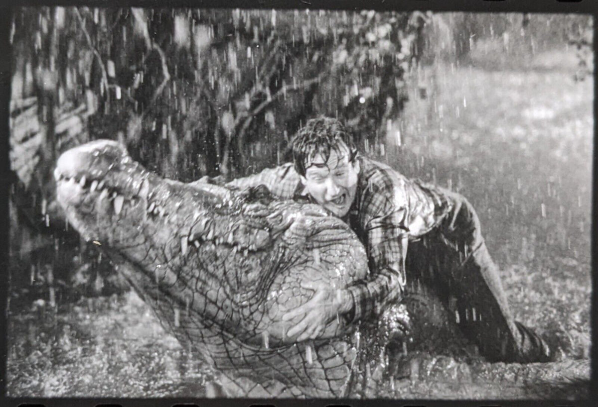 1995 Movie Jumanji Contact Sheet Robin Williams Wrestles Alligator 34 ...