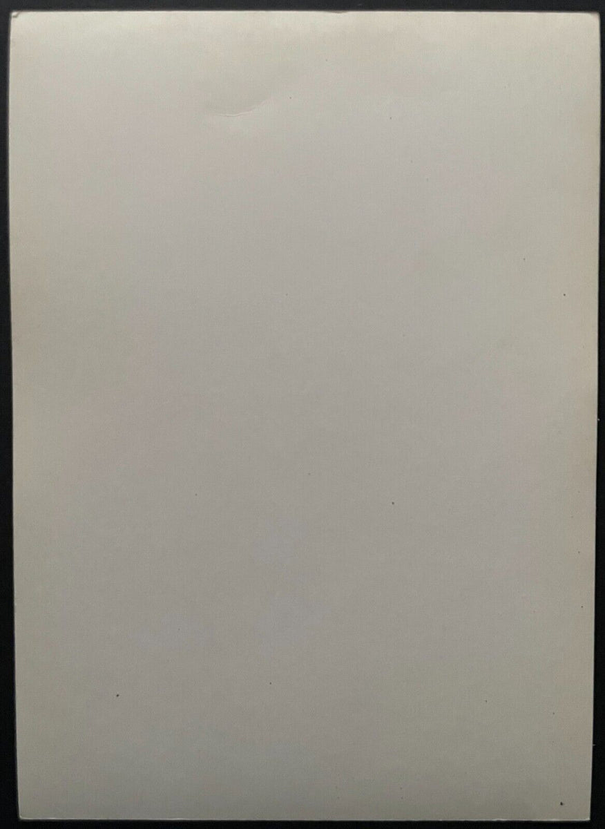 1968-69 NHL Hockey Toronto Maple Leafs Larry Hillman Team Issued Photo ...