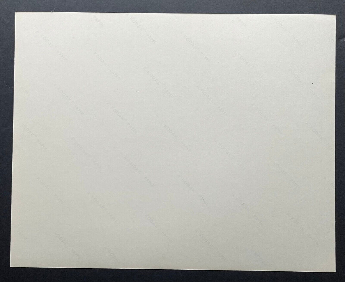 1969-70 Buffalo Bisons AHL Hockey Team Photo Final Year Rare Vintage ...